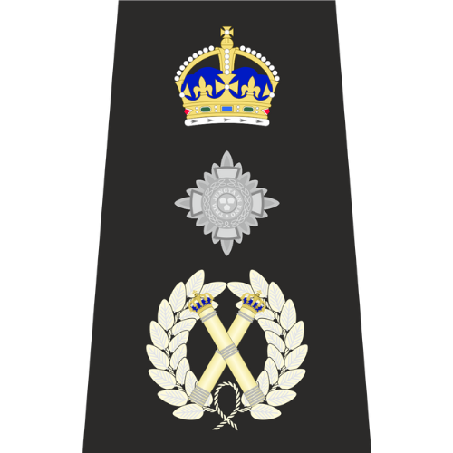 Metropolitan Police Service :: Metropolitan FivePD